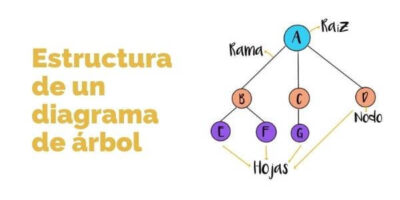 ¿Qué es y cómo hacer un diagrama de árbol? | Marketeros LATAM